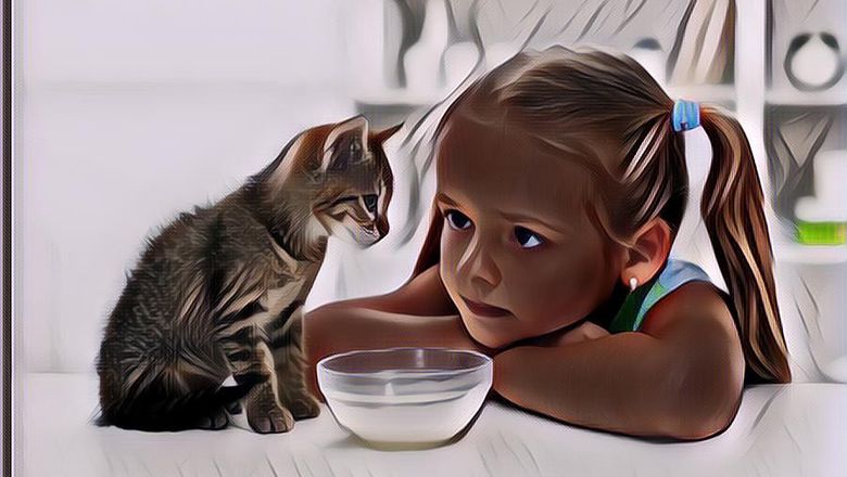 Apa Bener Kucing Punya Sembilan Nyawa? Simak Deh Penjelasannya ...